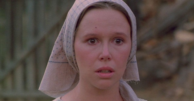 Wild Wind streaming: where to watch movie online?