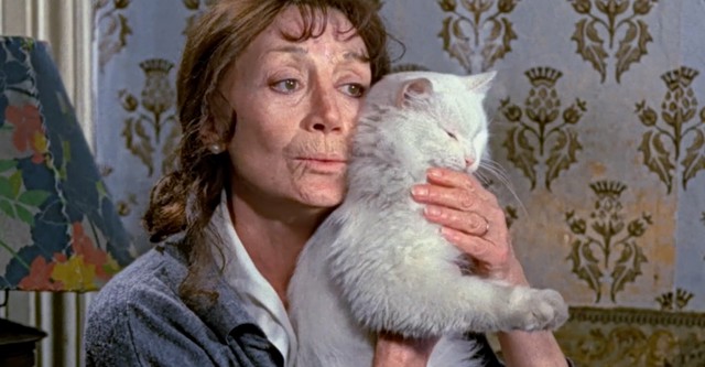 Hanım yayını: İnternette nereden film izlenir?