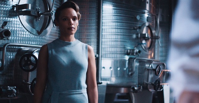 The Fix streaming: where to watch movie online?