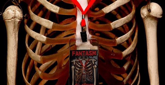 Fantasm streaming: where to watch movie online?