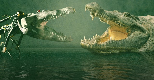 Animal Face-Off - streaming tv show online