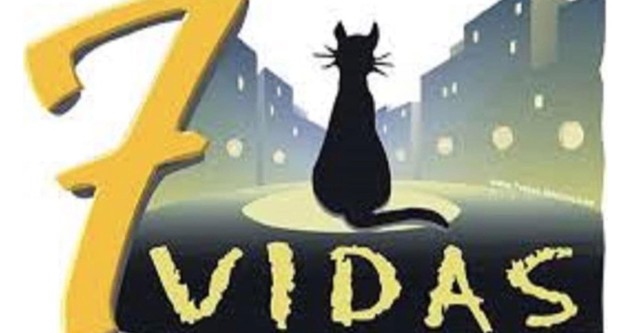 Donde assistir Siete Vidas - ver séries online