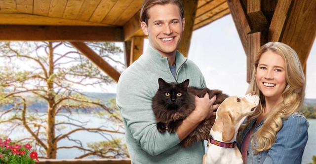 Como el perro y el gato - película: Ver online