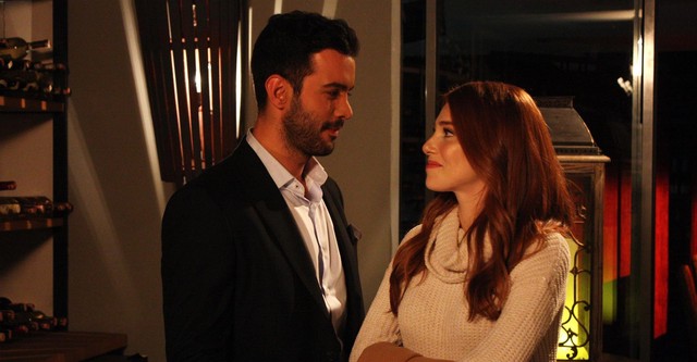 Te alquilo mi amor - Ver la serie de tv online