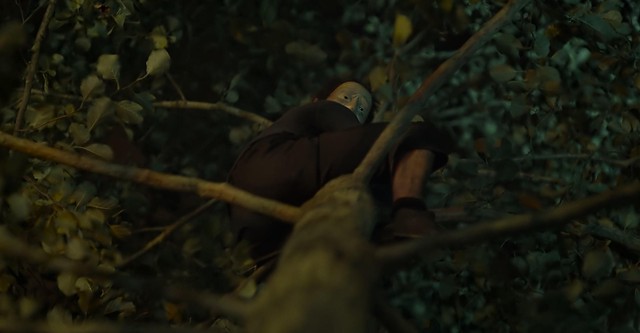 The Fall streaming: where to watch movie online?