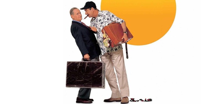 La strana coppia 2 - film: guarda streaming online