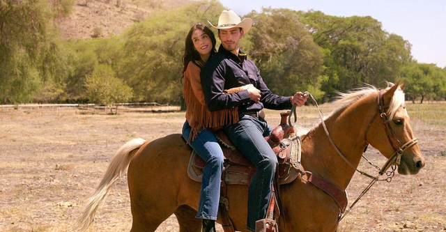 The Manny - watch tv show streaming online