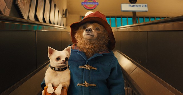 Paddington streaming: where to watch movie online?