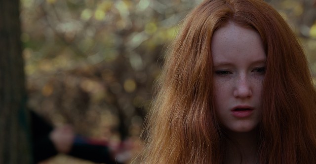 The Compound - movie: where to watch stream online