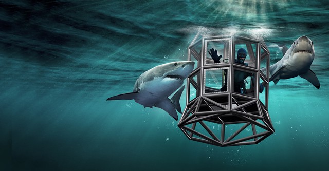 Shark House Season 1 - watch full episodes streaming online