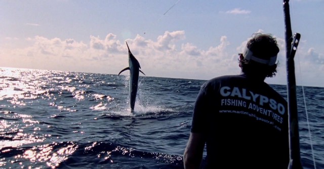 Superfish streaming: where to watch movie online?