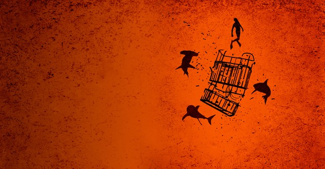 Saison 1 Deadliest Bite streaming: regarder les épisodes