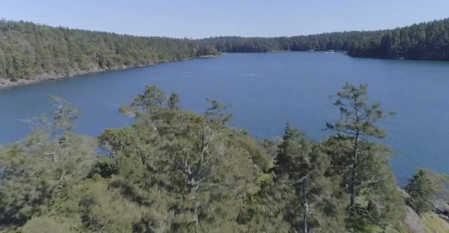 Regarder Blackfish 2: le combat continue en streaming