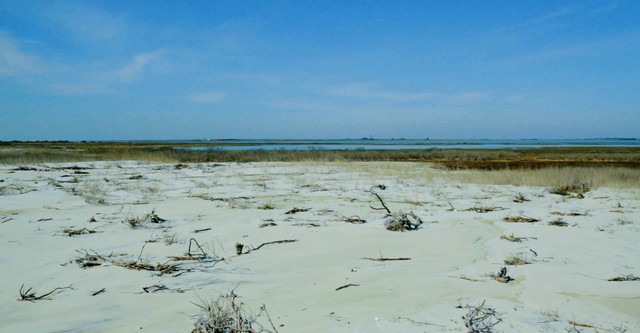 Shored Up streaming: where to watch movie online?