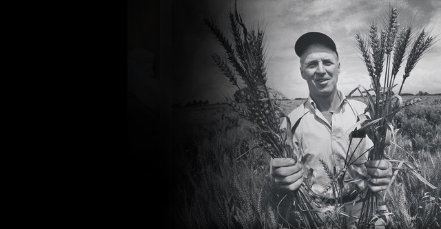 The Man Who Tried to Feed the World streaming