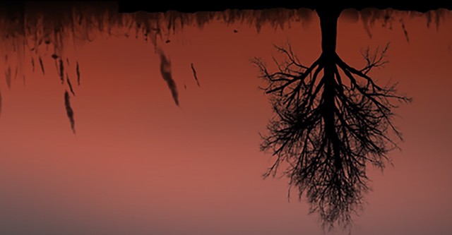 Brainwashed Season 1 - watch full episodes streaming online