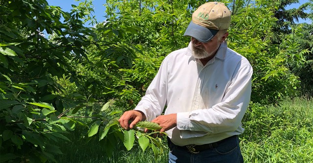 Feeding Tomorrow streaming: where to watch online?