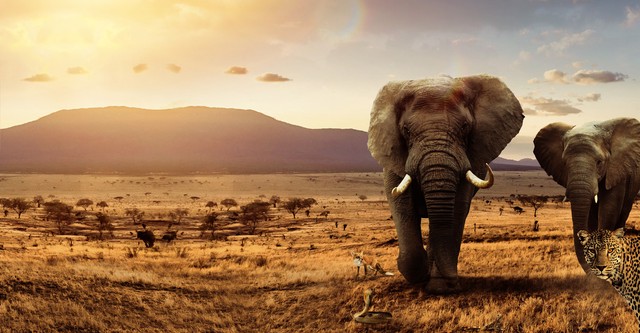 The Animal Within - streaming tv show online