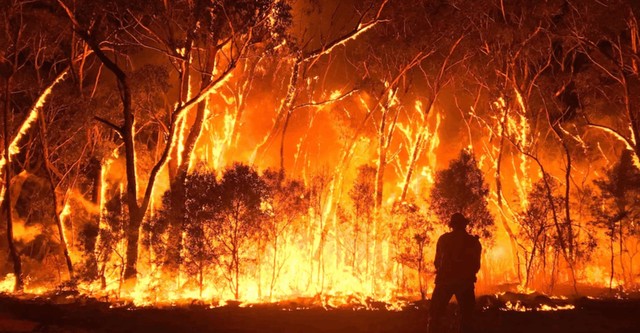 Black Summer [OV] - película: Ver online en español