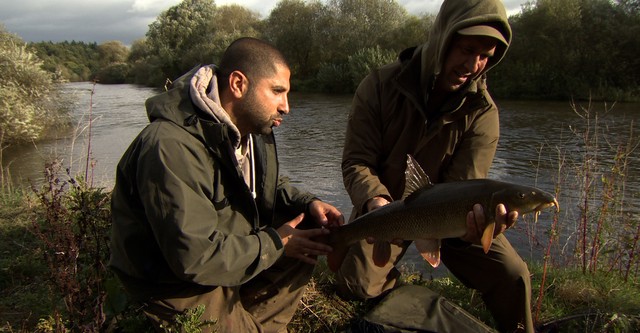 The Big Fish Off Season 1 - watch episodes streaming online