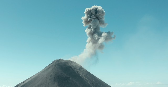 Without Warning streaming: where to watch online?