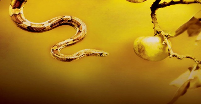 Megiddo 2: The New Age streaming: where to watch online?