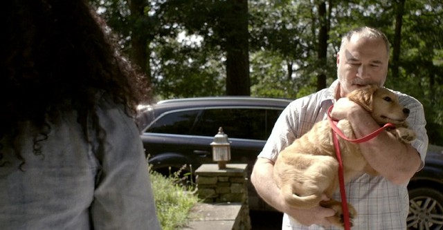 When We Grow Up streaming: where to watch online?