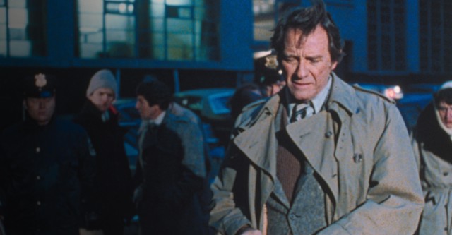 Stone Cold Dead - movie: watch stream online