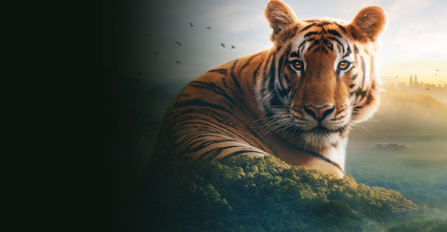 Asia. BBC Earth temporada 1 - Ver episodios online