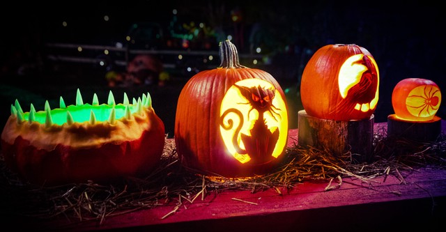 Outrageous Pumpkins Season 3 - watch episodes streaming online