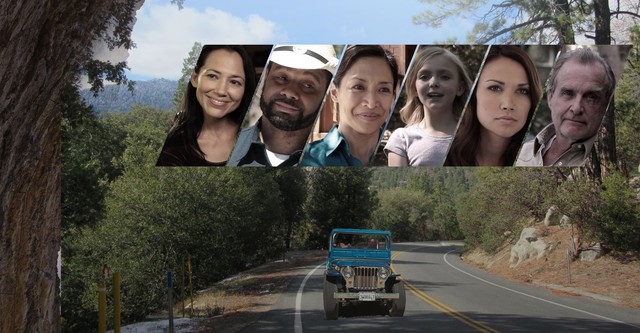 Vertical - movie: where to watch stream online