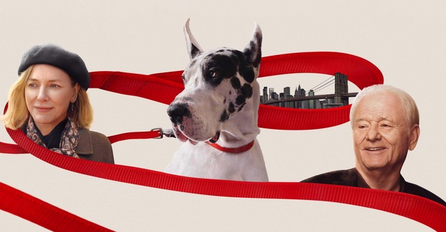 The Friend - movie: where to watch stream online