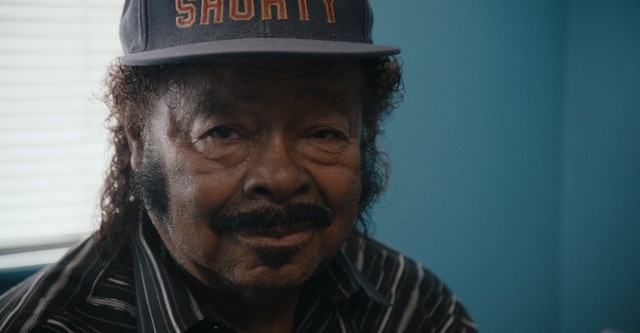 Swamp Dogg Gets His Pool Painted streaming online