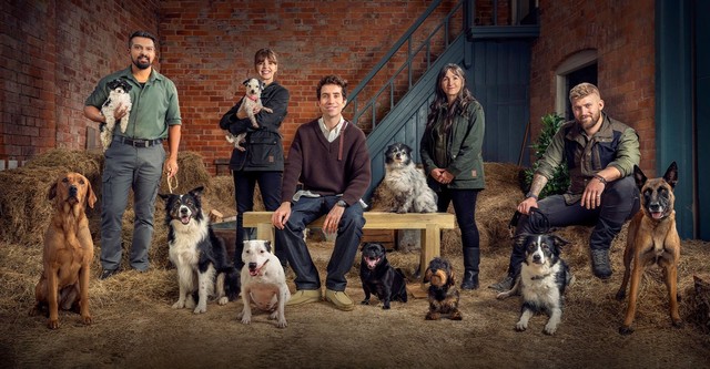 Bad Dog Academy - stream tv show online