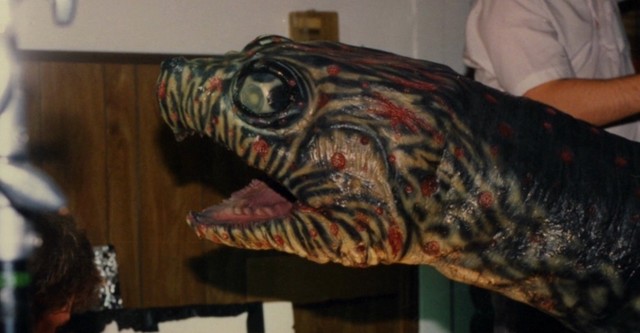 Snapper streaming: where to watch movie online?