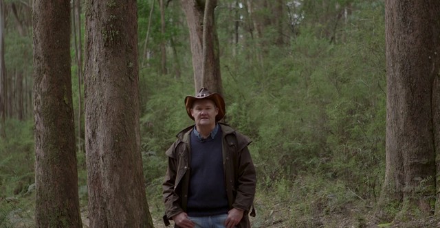 Captain Moonlight - Bushranger streaming online