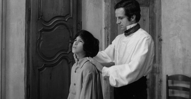 Il ragazzo selvaggio - film: guarda streaming online