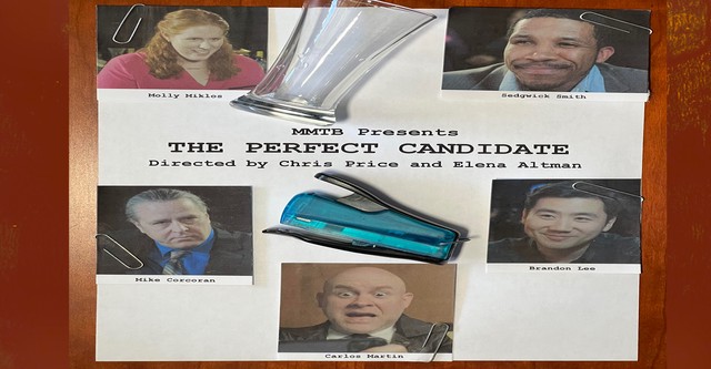 The Perfect Candidate - movie: watch streaming online