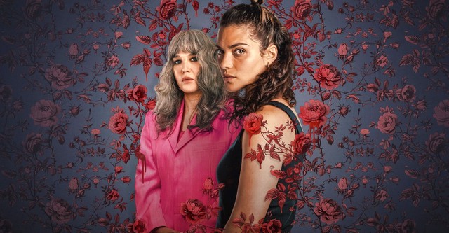 Donde assistir Sol Negro - ver séries online