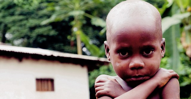 Wild Daze streaming: where to watch movie online?