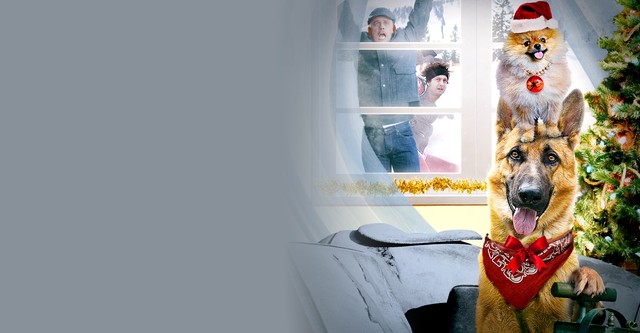 Step Dogs - movie: where to watch streaming online