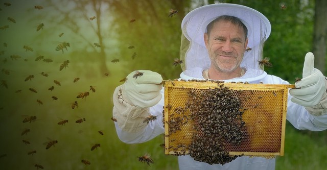 The Secret Life of Bees - streaming online