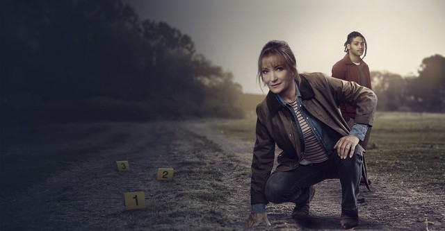 Harry Wild temporada 4 - Ver todos los episodios online