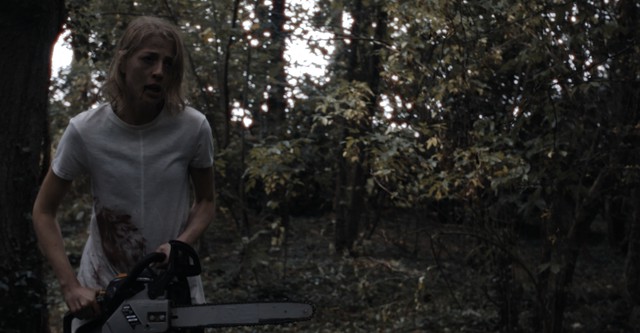 Run from Hell streaming: where to watch online?