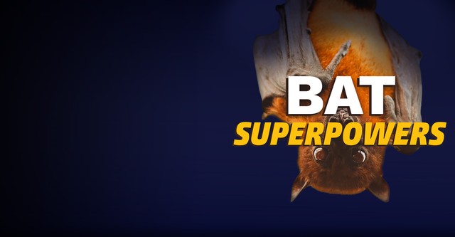 Bat Superpowers - movie: watch streaming online