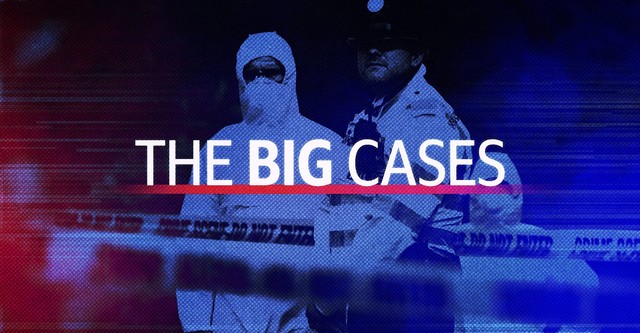 The Big Cases - streaming tv series online