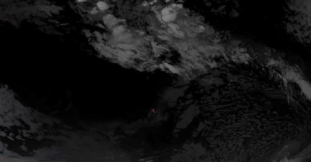 Black Summer streaming: where to watch movie online?