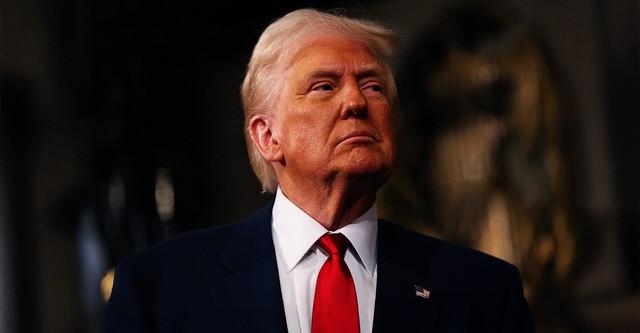 The Donald Trump Show - streaming tv series online