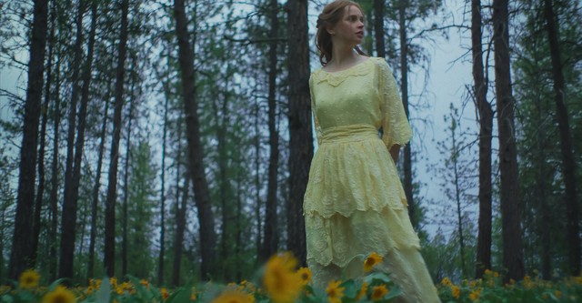 Train Dreams streaming: where to watch movie online?