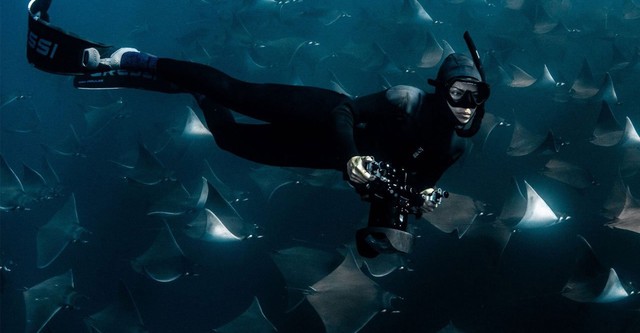 Deep Dive North America - streaming online